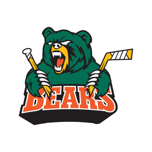 Nepean-Riverside Minor Ball Hockey League